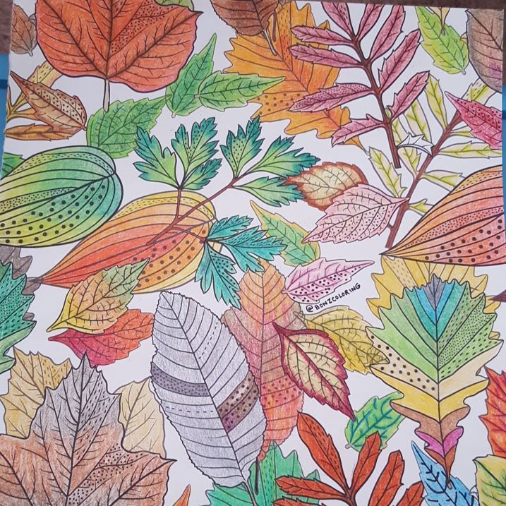 Natural Wonders | Color Art for Everyone – @BonzColoring